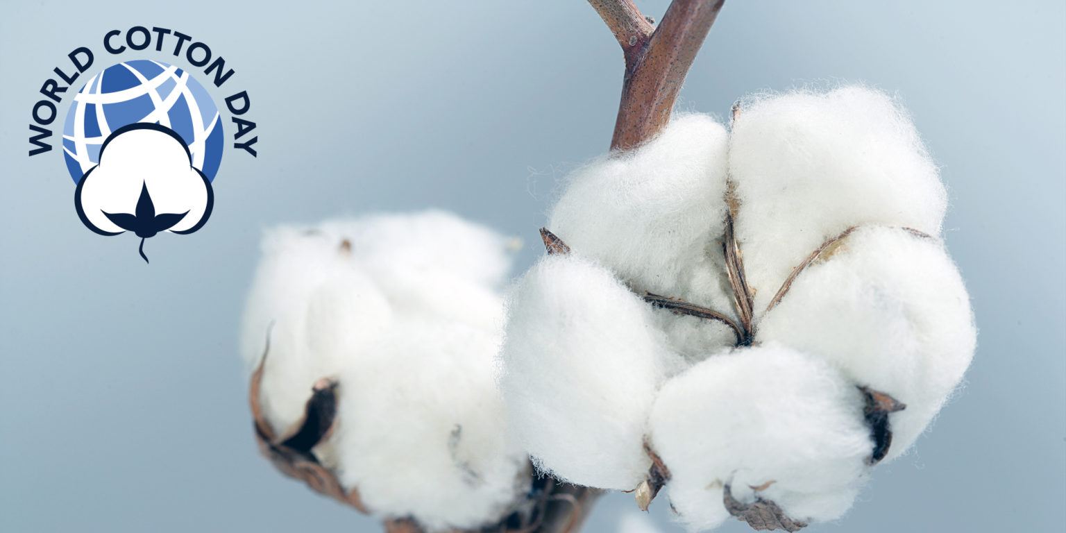 International Day Explains Why Cotton is More than Just a Commodity ...