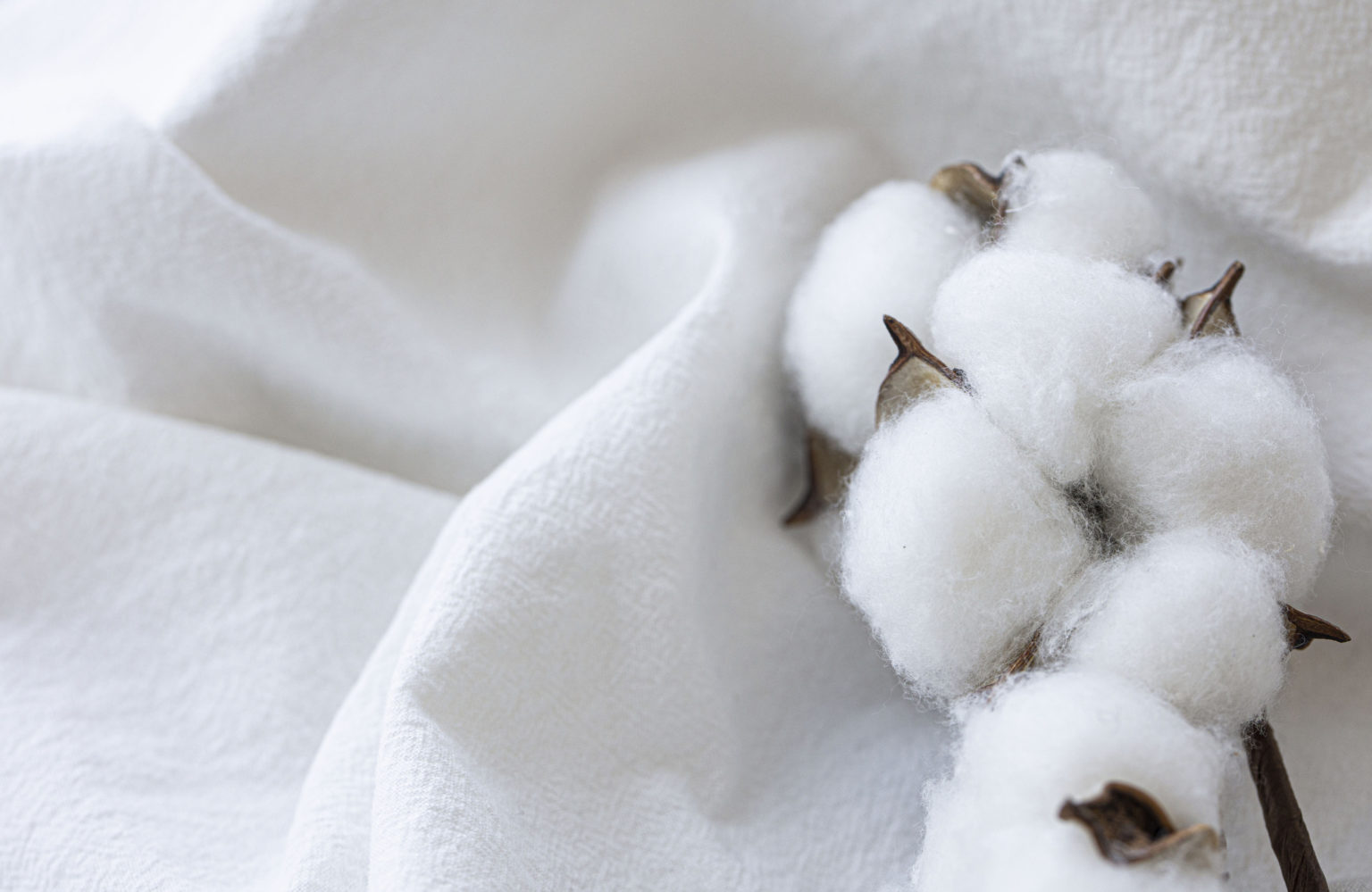 Home - Cotton Incorporated Lifestyle Monitor™ Home - Cotton Incorporated Lifestyle Monitor™