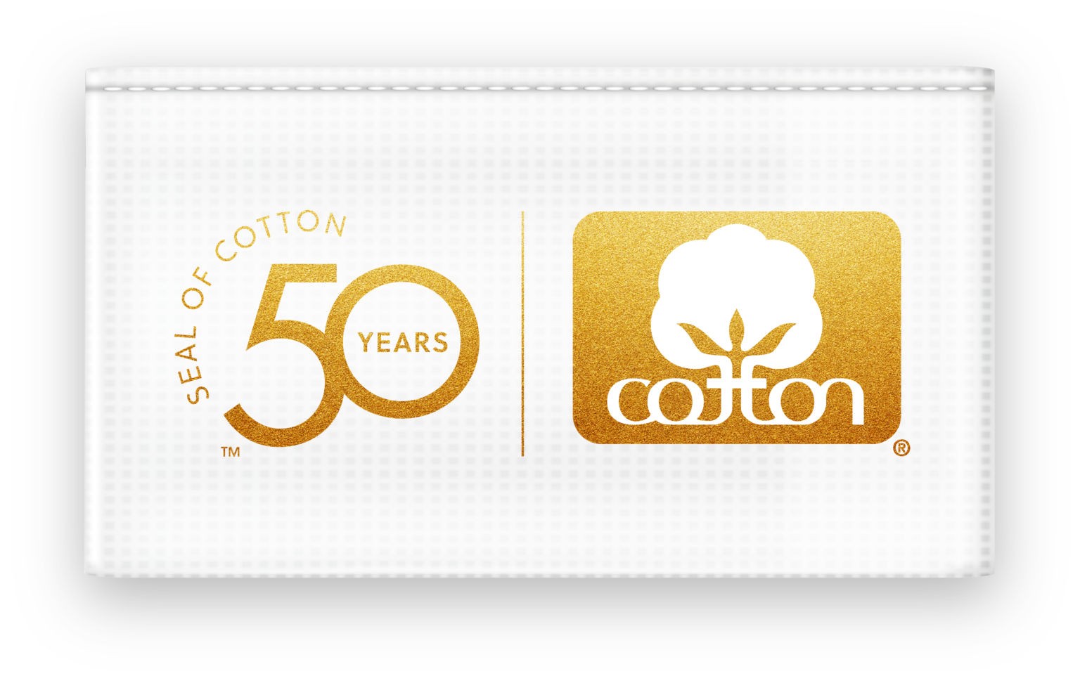 Promoting a Commodity into a Brand Relevant Across Eras - Cotton ...