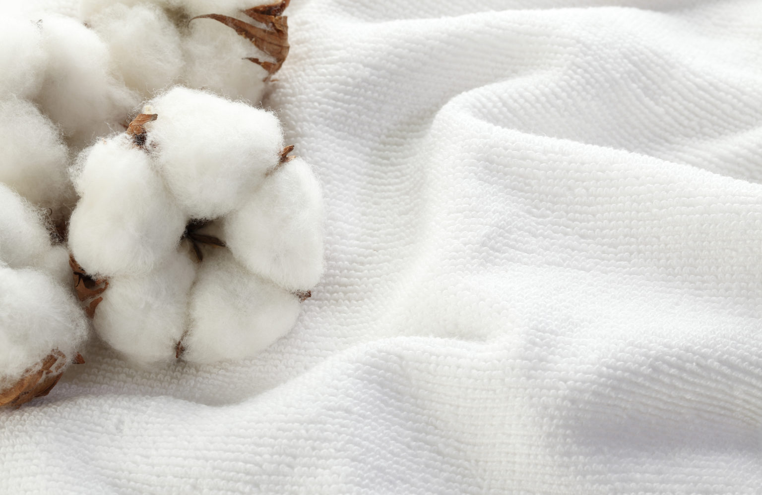 Home - Cotton Incorporated Lifestyle Monitor™ Home - Cotton Incorporated Lifestyle Monitor™